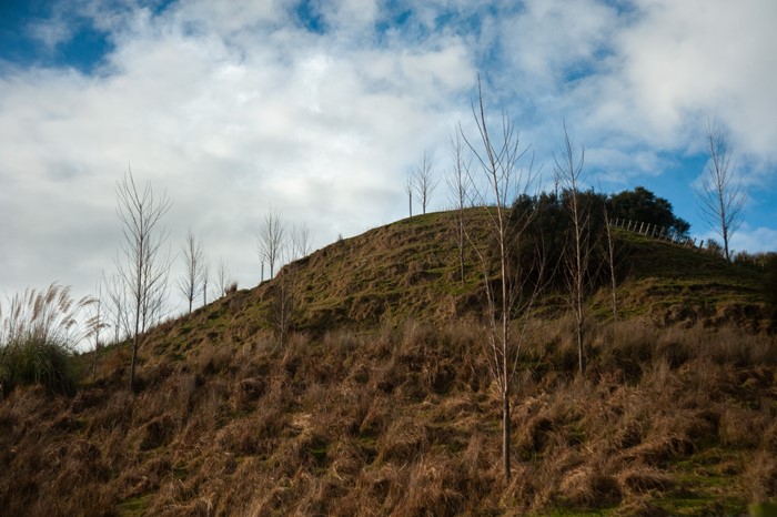 Horizons' fifth SLUI contract off to strong start - Horizons Regional ...