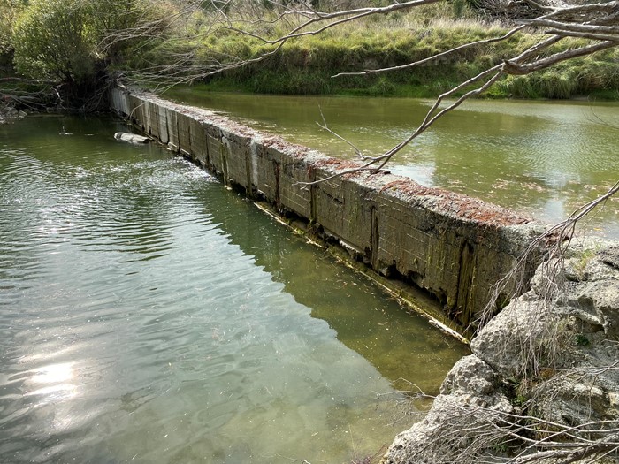 Horizons removes rabbit weir to enhance Ākitio River native fish ...