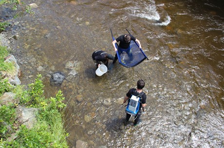 Home - Horizons Regional Council