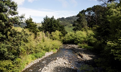 Home - Horizons Regional Council