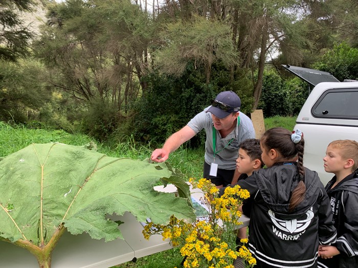 Horizons to hold pest plant hui for Ohakune school students - Horizons ...