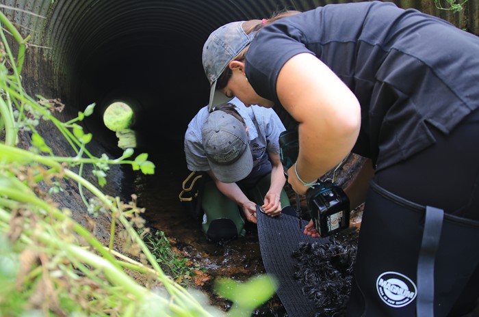 Horizons Regional Council’s draft Long-term Plan now open for ...