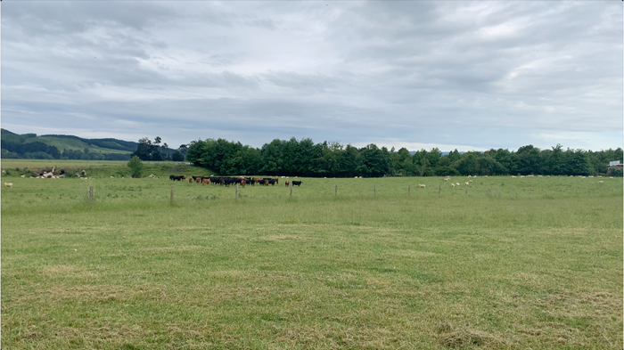 Farmers to get intensive winter grazing consents advice at workshops ...