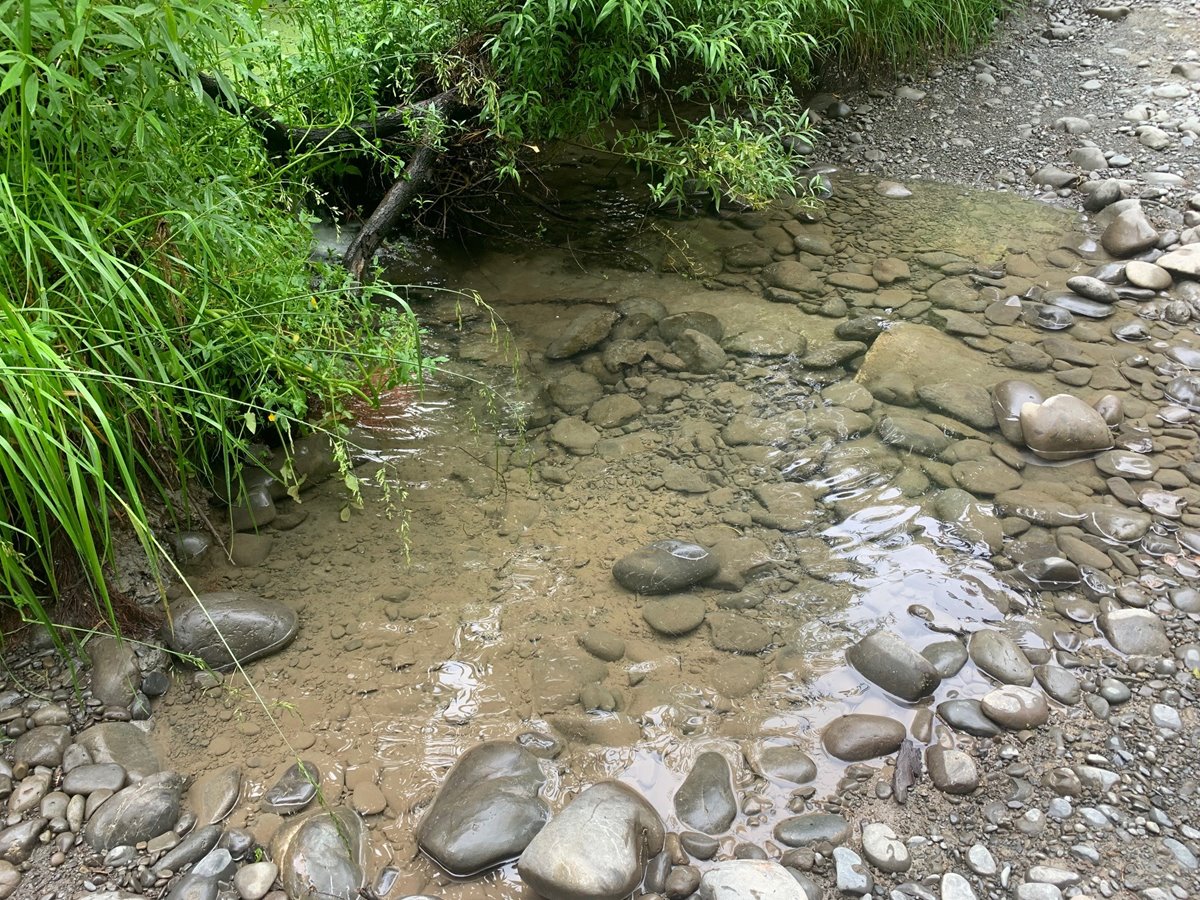 Clean and Clear: What washes up in the water? - Horizons Regional Council