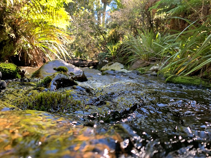 Horizons Regional Freshwater Community Grant open for applications soon ...
